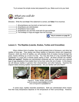 Biology m18 animals with backbones | PDF