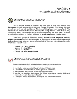 Biology m18 animals with backbones | PDF