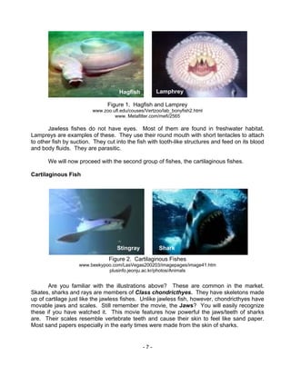 Biology m18 animals with backbones | PDF