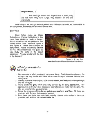 Biology m18 animals with backbones | PDF