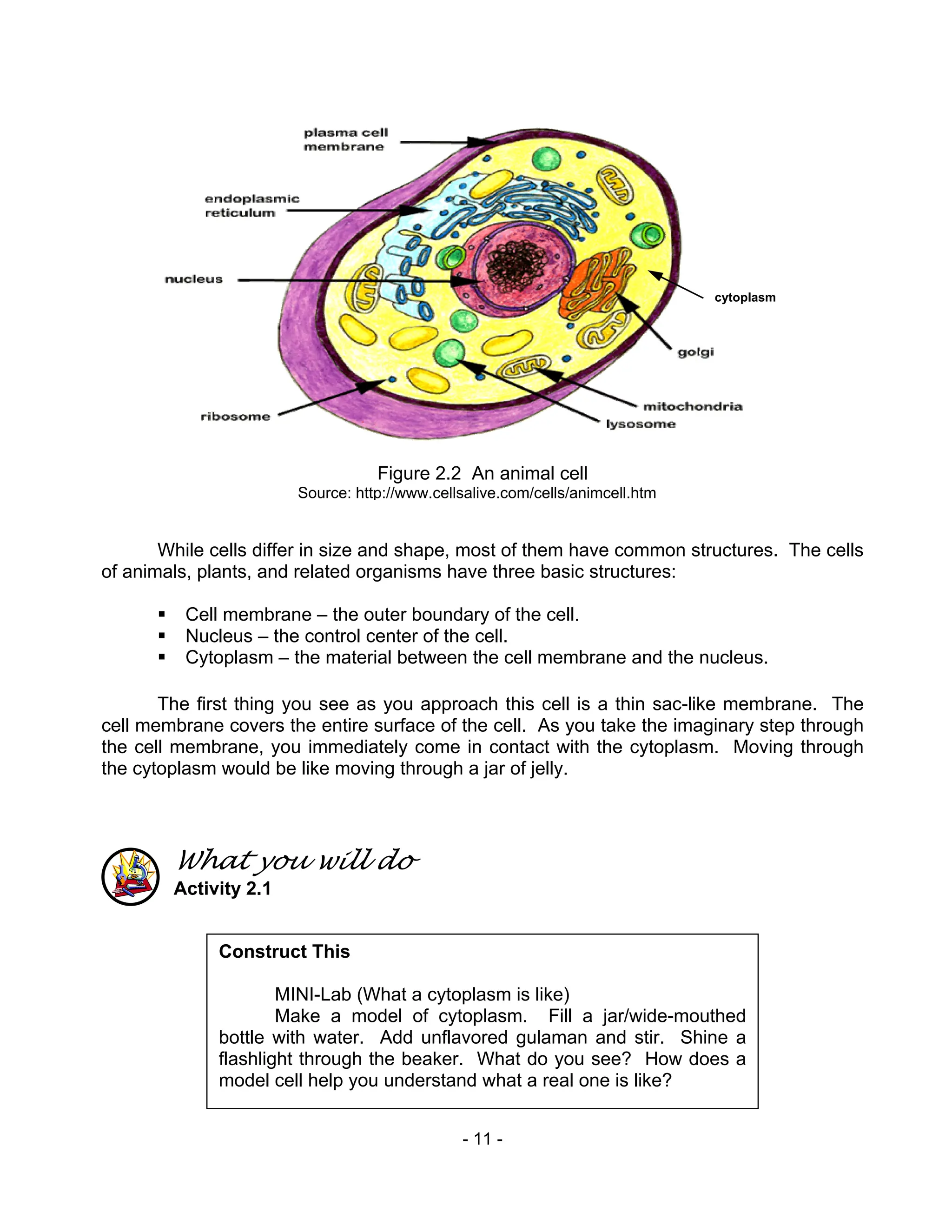 Biology M2 Cell Structure & Function.pdf