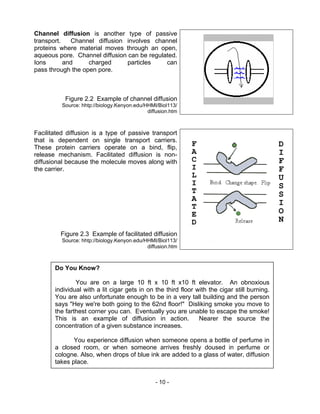 Biology m3 movement of matls thru the cell membrane | PDF