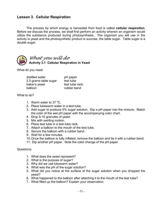 Biology m5 cellular respiration | PDF