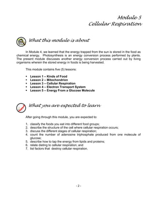 Biology m5 cellular respiration | PDF