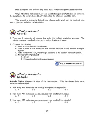 Biology m5 cellular respiration | PDF