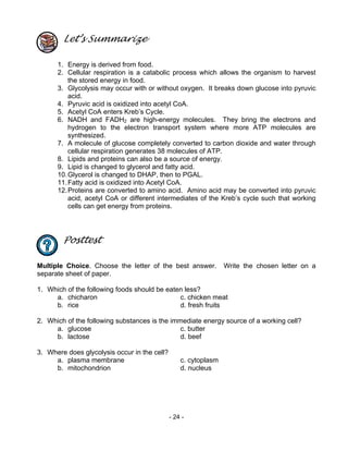 Biology m5 cellular respiration | PDF