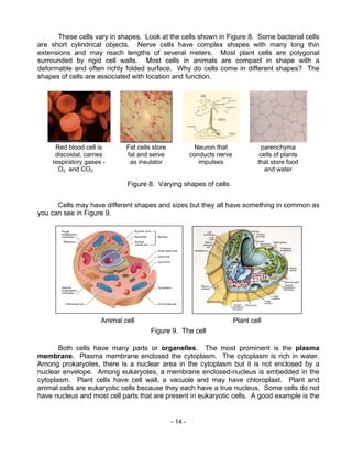 Biology m6 the levels of biological organization | PDF