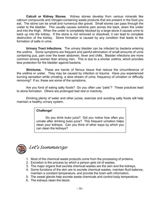 Biology m8 integumentary & excretory systems | PDF