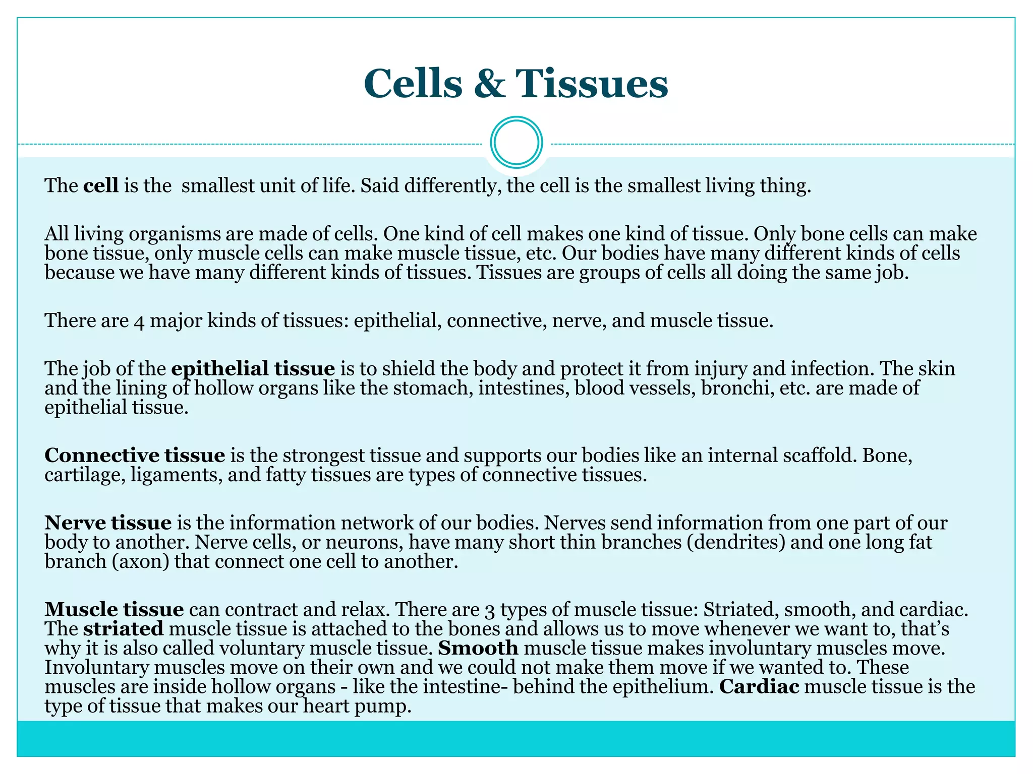 Biology made simple | PPTX