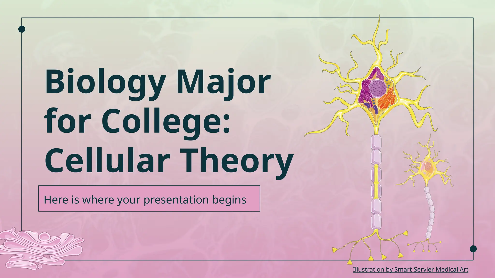 Biology Major for College_ Cellular Theory by Slidesgo.pptx