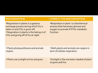 Biology misconception | PPT