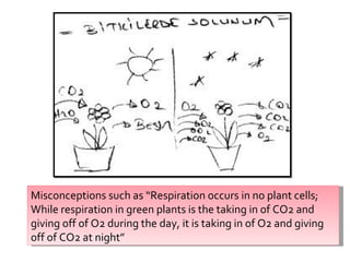 Biology misconception | PPT