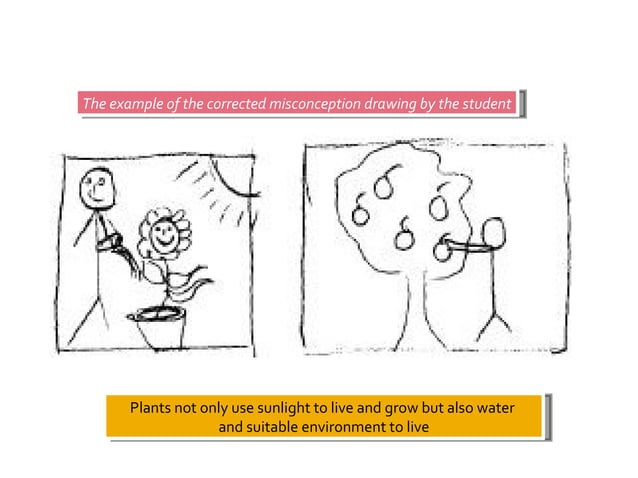 Biology Misconception Ppt