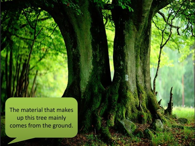 Biology misconceptions | PPTX | Biological Sciences | Science