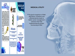 Biology molecular vanessa | PPT
