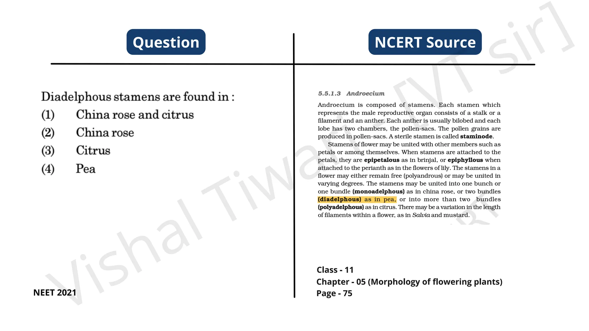BIOLOGY ncert line to line.pdf
