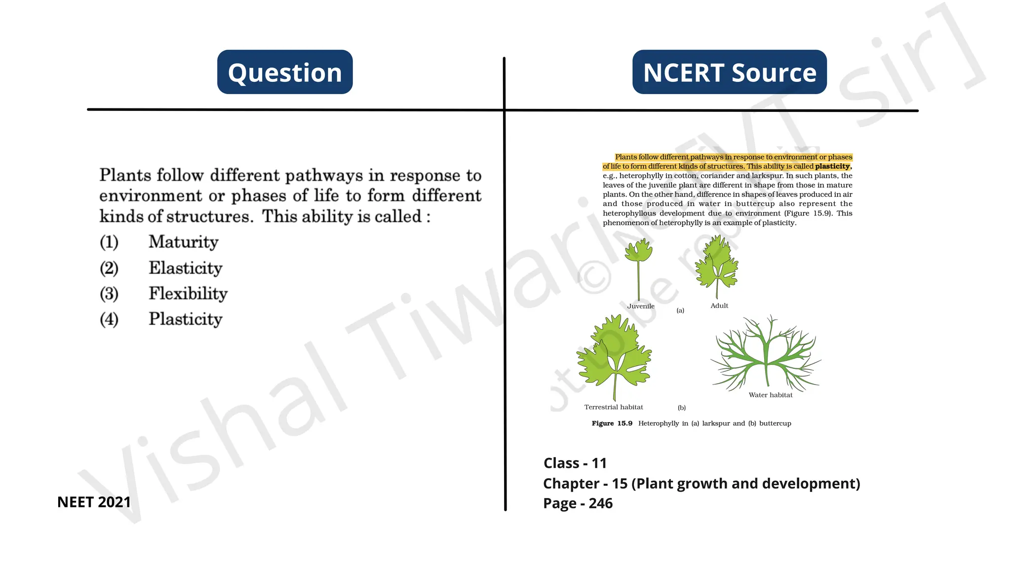 BIOLOGY ncert line to line.pdf