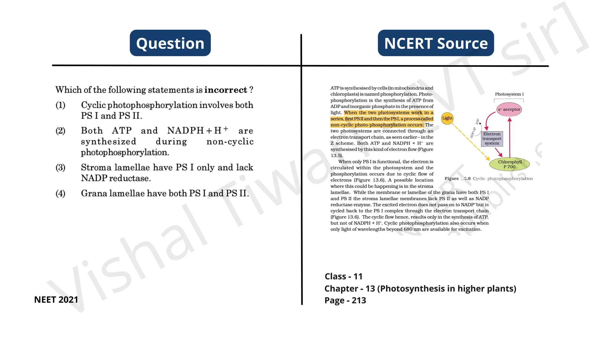 BIOLOGY ncert line to line.pdf