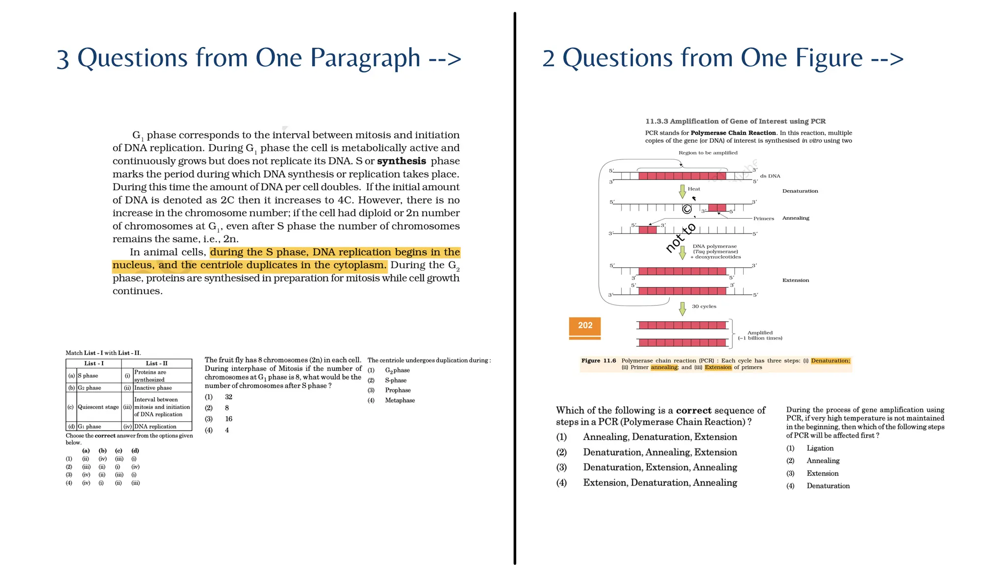 BIOLOGY ncert line to line.pdf