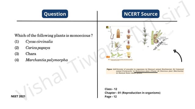 BIOLOGY ncert line to line.pdf