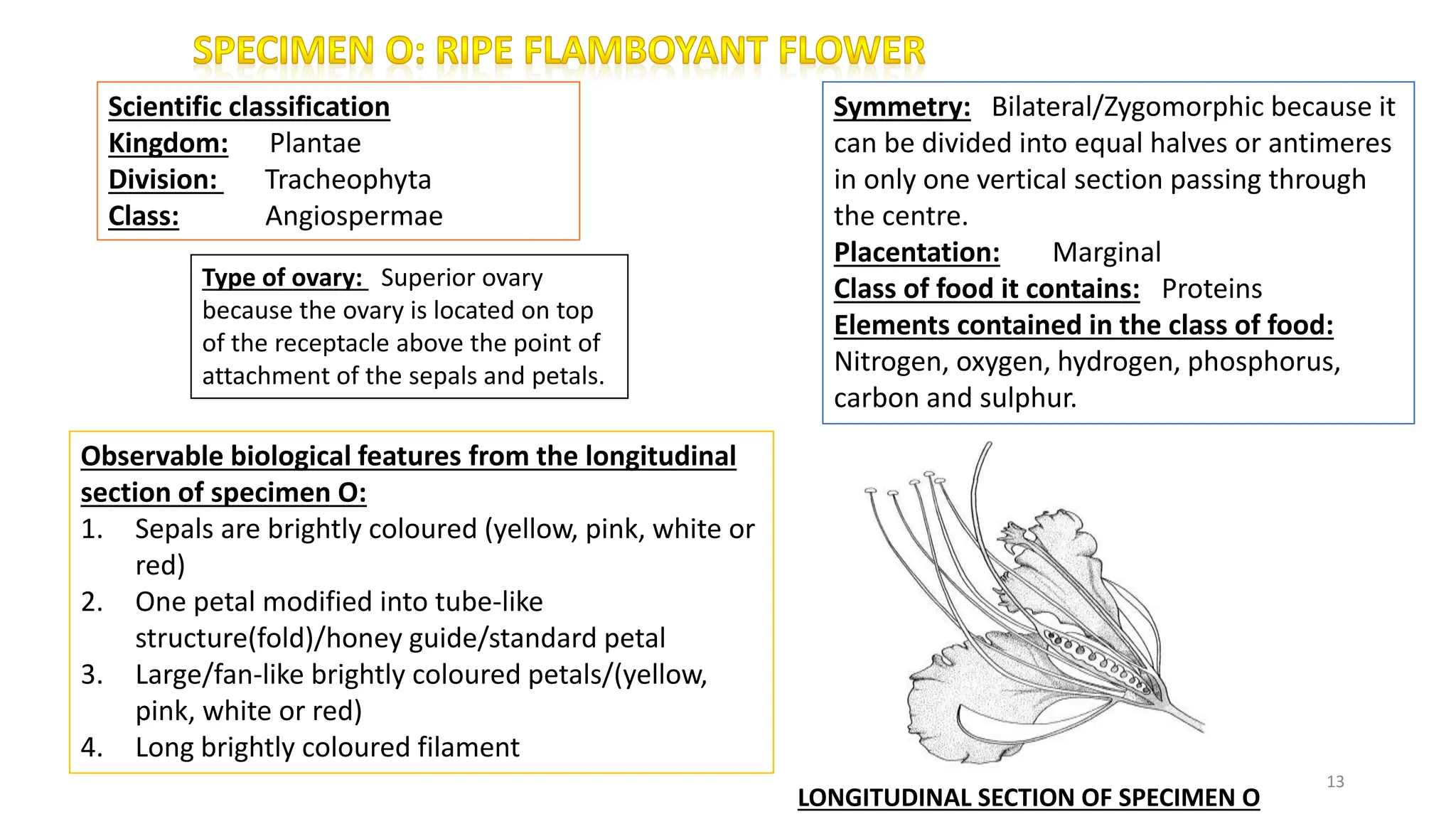 BIOLOGY NATIONAL EXAMINATION COUNCIL (NECO) 2024 PRACTICAL MANUAL.pptx