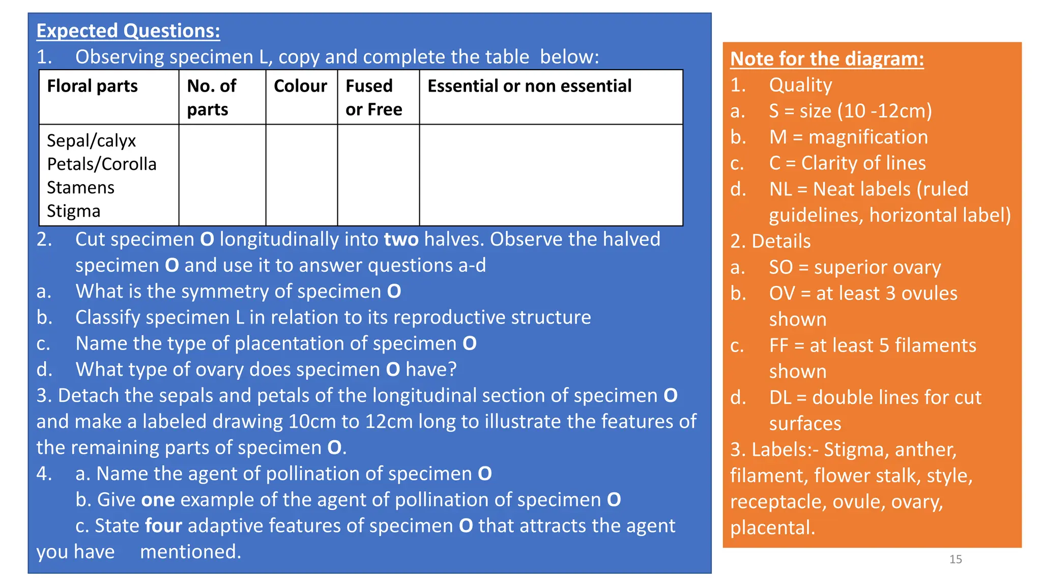 BIOLOGY NATIONAL EXAMINATION COUNCIL (NECO) 2024 PRACTICAL MANUAL.pptx