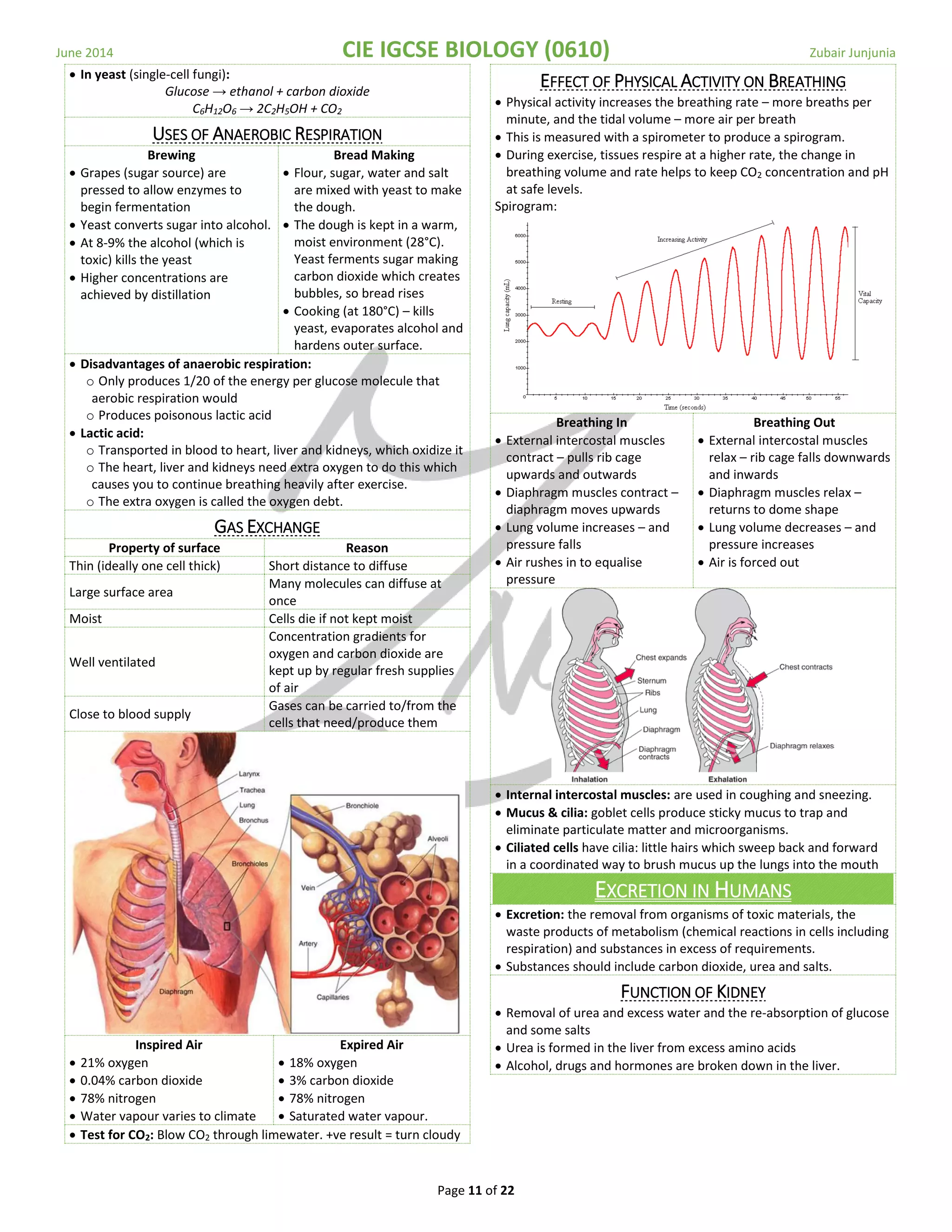 CIE IGCSE Biology complete notes | PDF