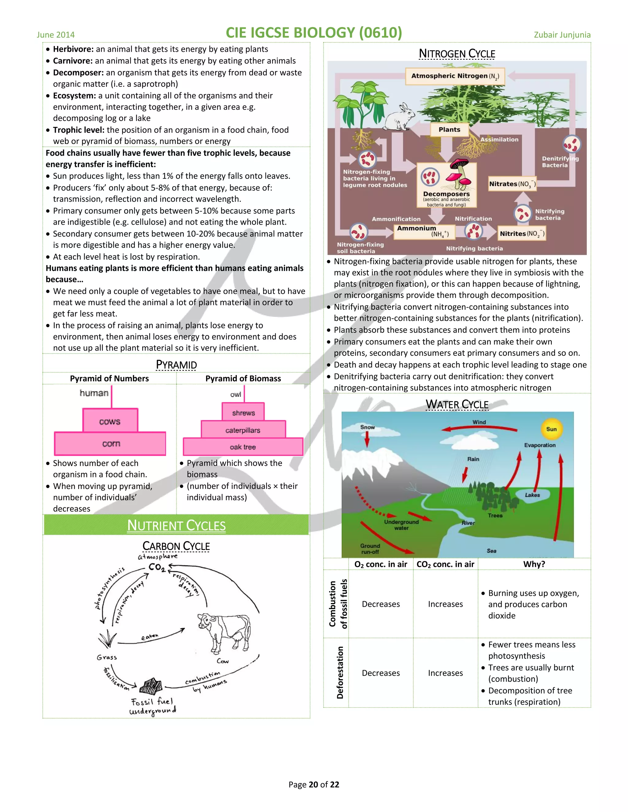 CIE IGCSE Biology complete notes | PDF