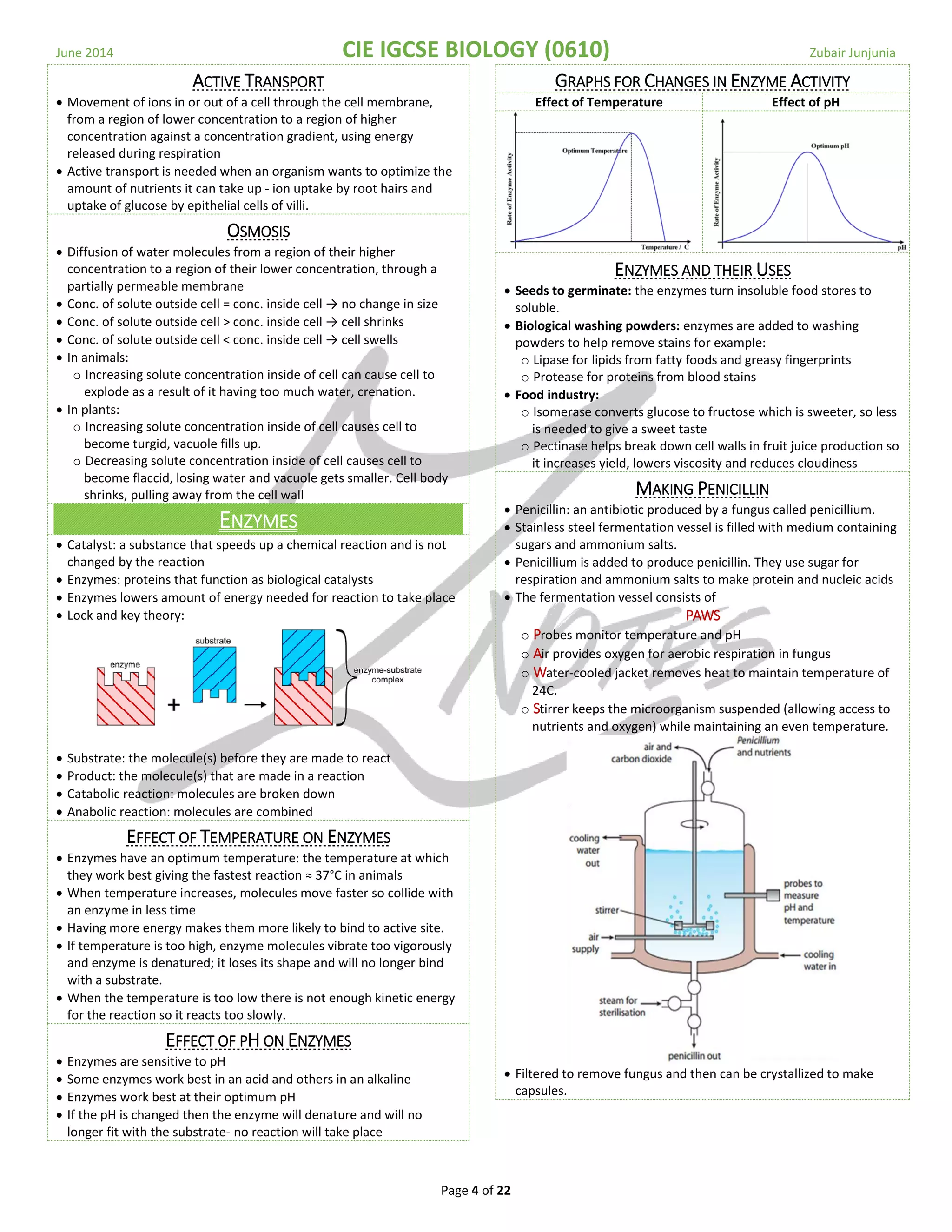 CIE IGCSE Biology complete notes | PDF