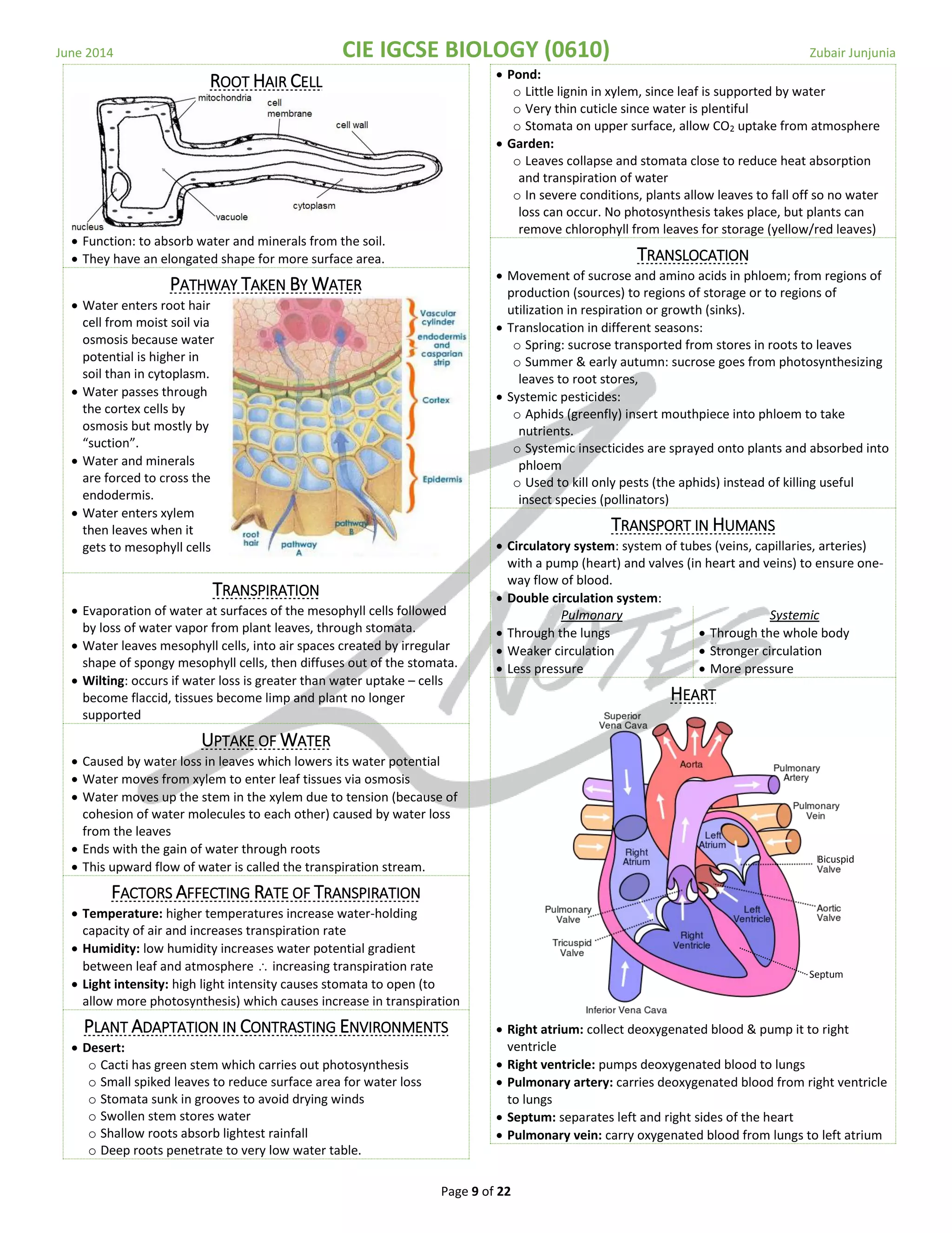 CIE IGCSE Biology complete notes | PDF