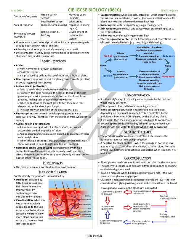 CIE IGCSE Biology complete notes | PDF