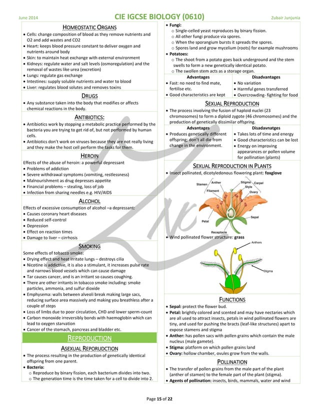 CIE IGCSE Biology complete notes | PDF