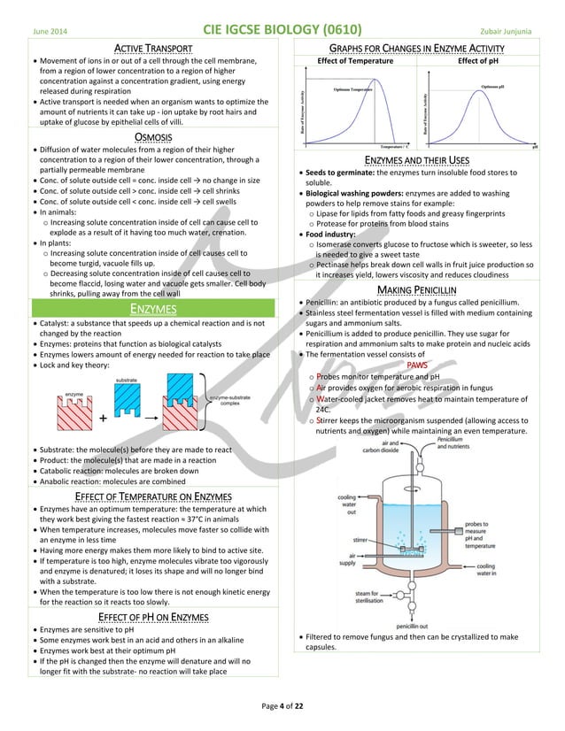CIE IGCSE Biology complete notes | PDF
