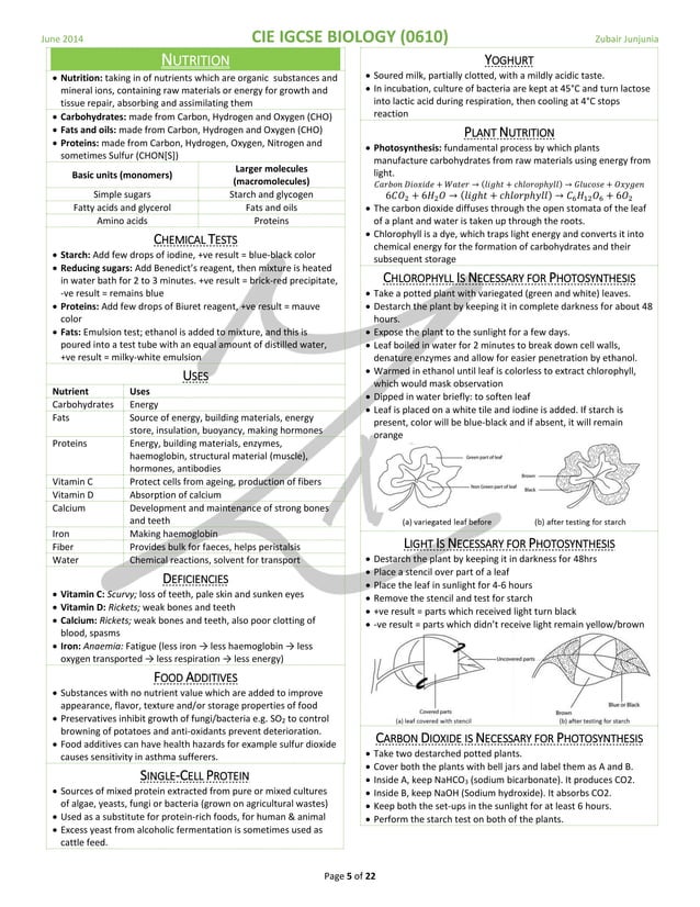 CIE IGCSE Biology complete notes | PDF