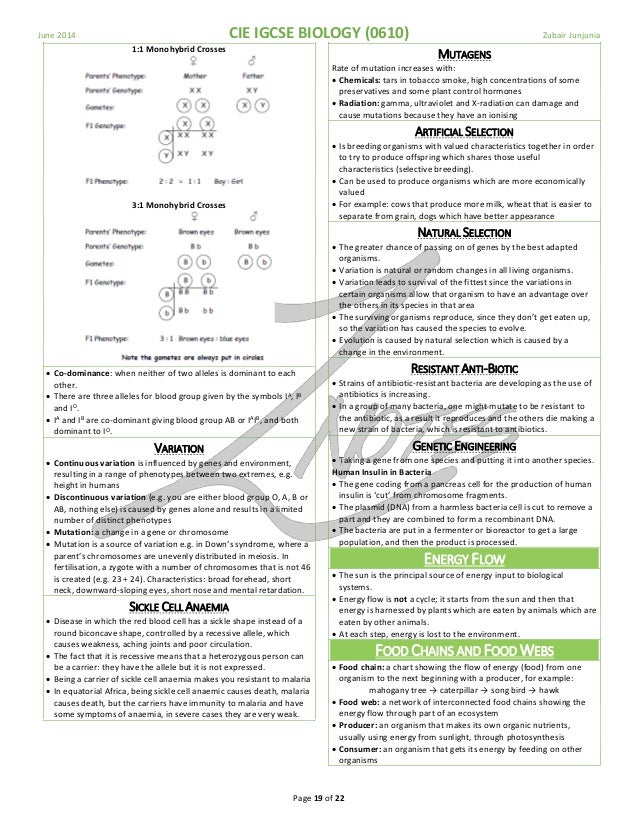 CIE IGCSE Biology complete notes