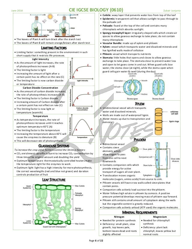 Cie Igcse Biology Complete Notes