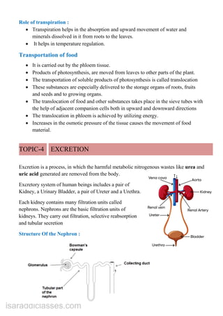 BIOLOGY Notes class 10 cbse science notes | PDF | Digestive Disorders ...