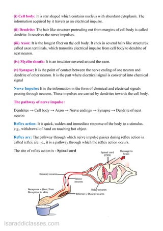 BIOLOGY Notes class 10 cbse science notes | PDF