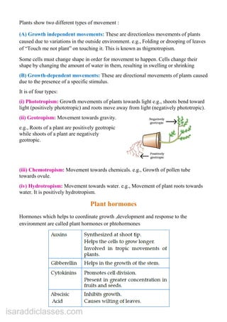 BIOLOGY Notes class 10 cbse science notes | PDF | Digestive Disorders ...