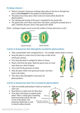 BIOLOGY Notes class 10 cbse science notes | PDF | Digestive Disorders ...