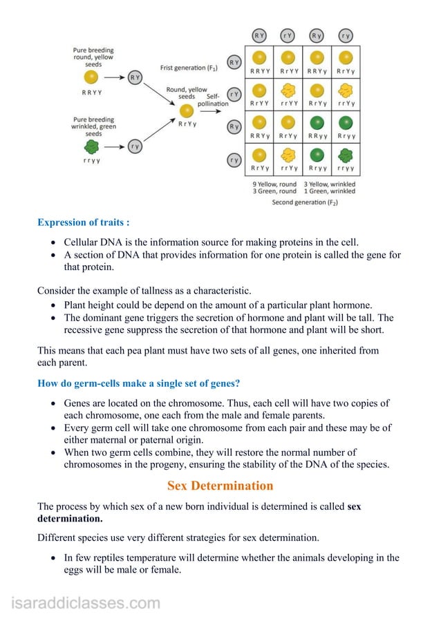 Biology Notes Class 10 Cbse Science Notes Pdf Digestive Disorders