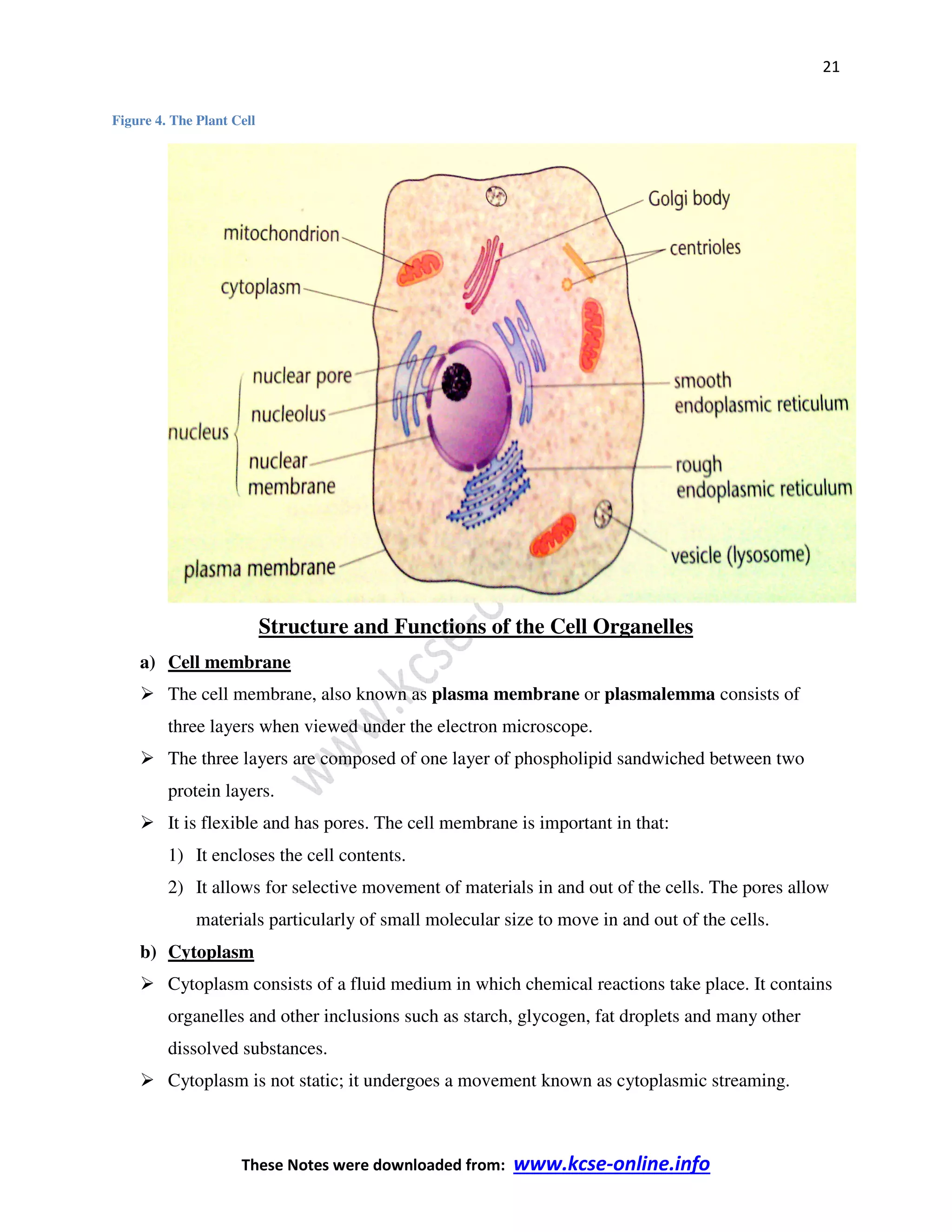 Biology notes form 1 | PDF