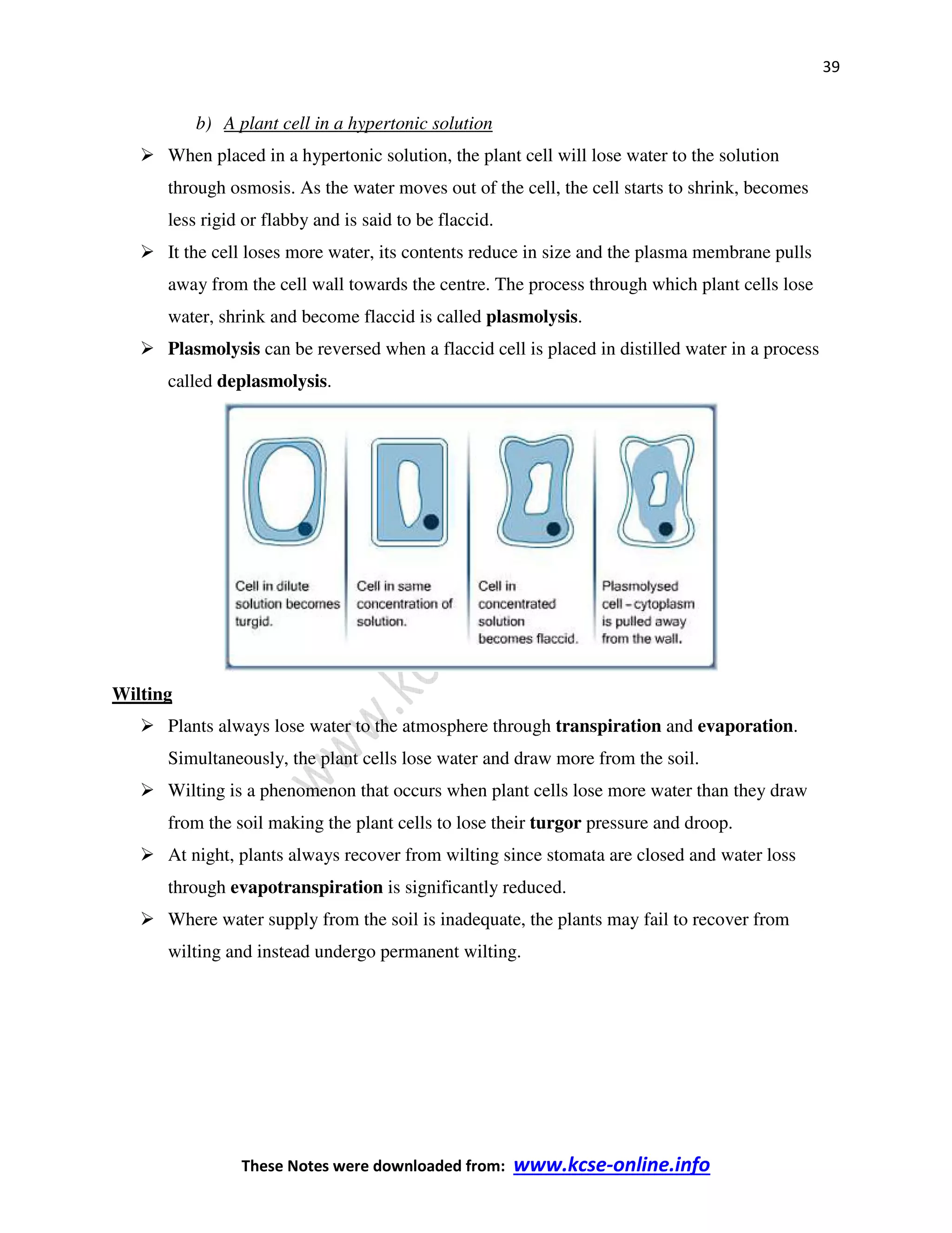 Biology notes form 1 | PDF
