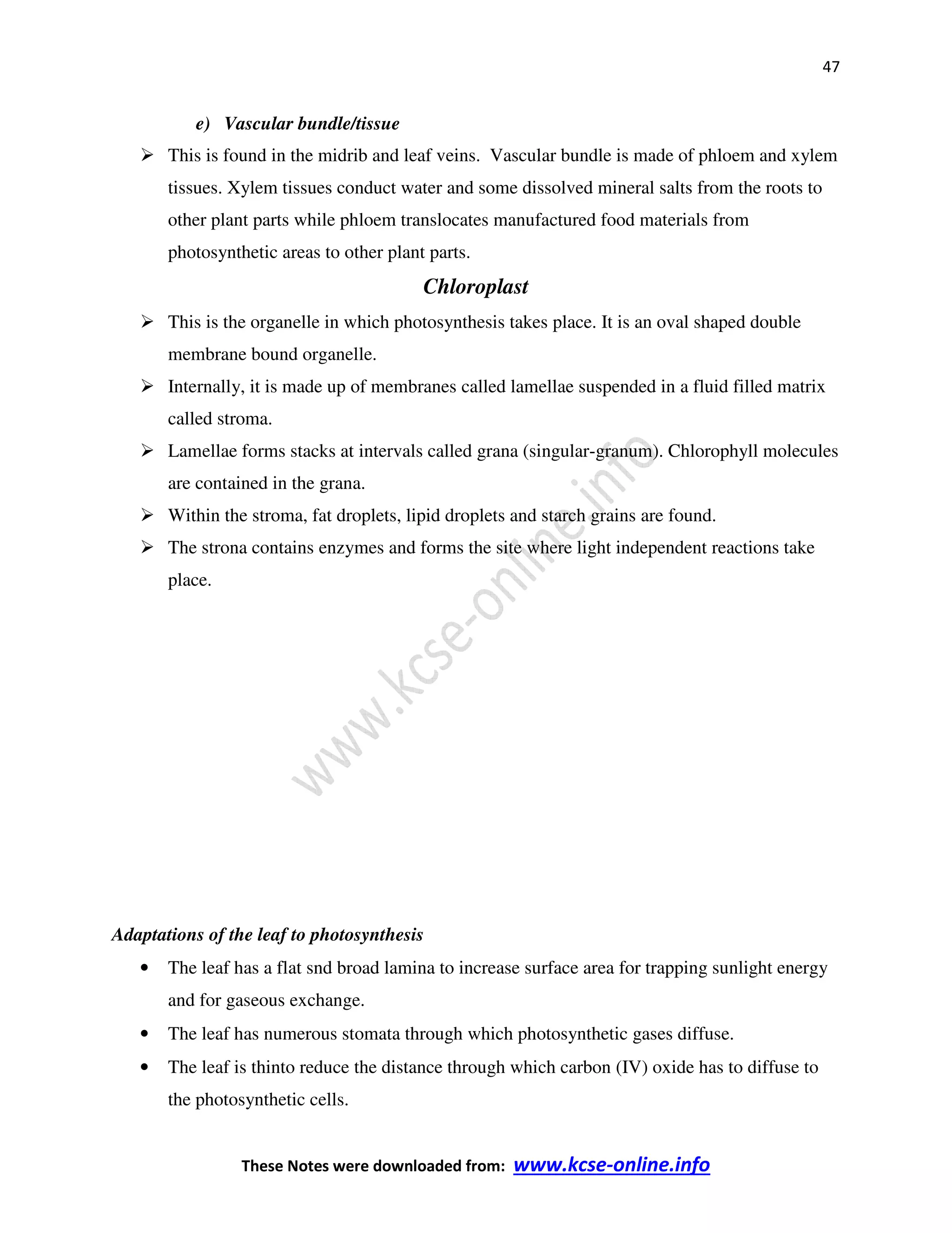 Biology notes form 1 | PDF