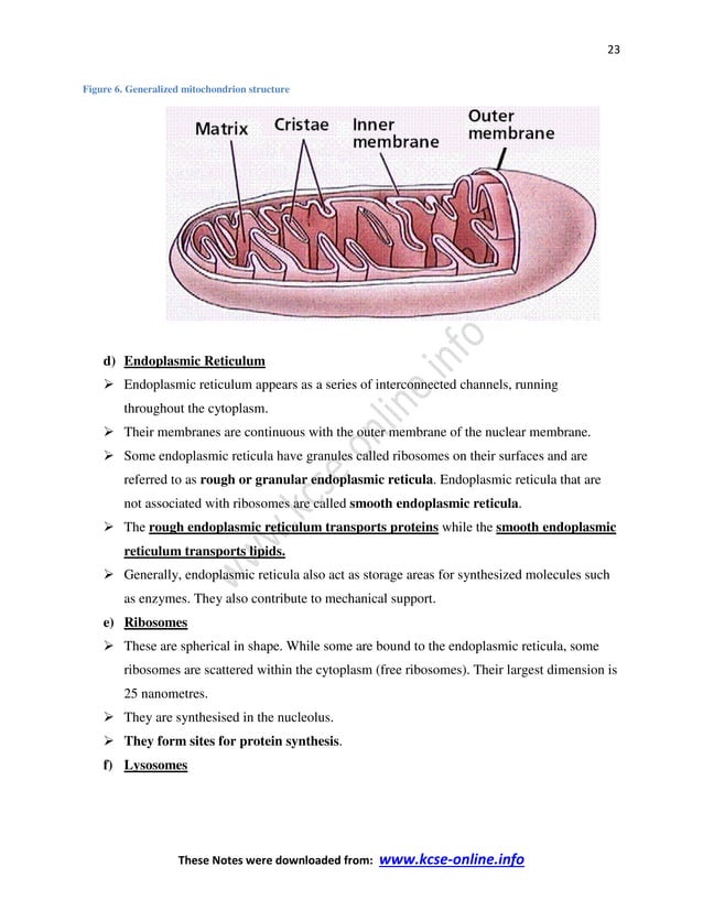 Biology notes form 1 | PDF