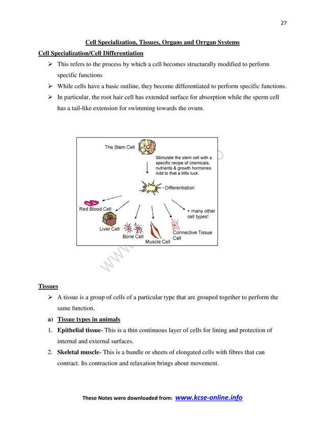 Biology notes form 1 | PDF