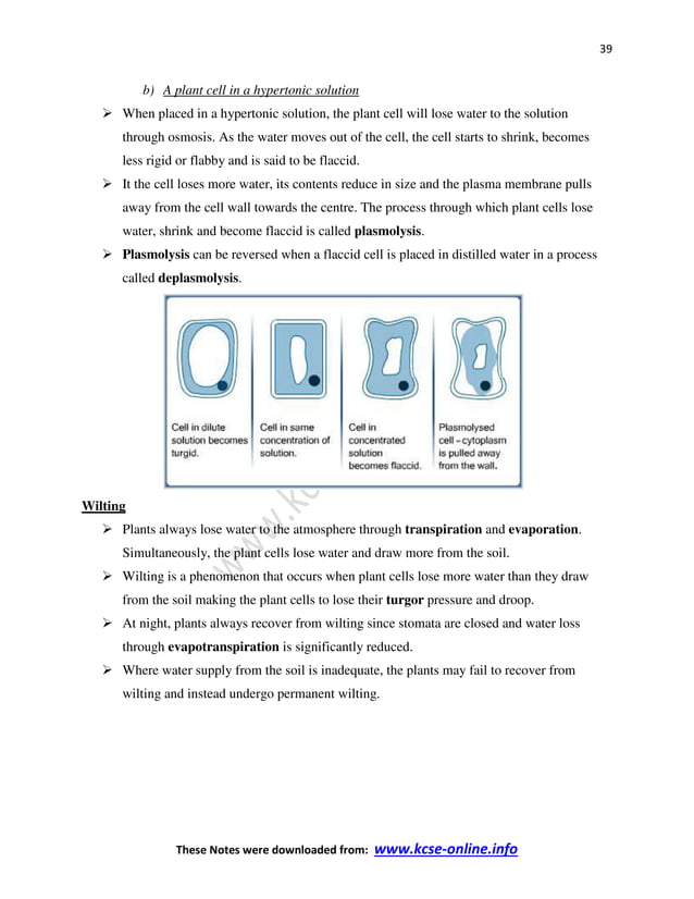 Biology notes form 1 | PDF