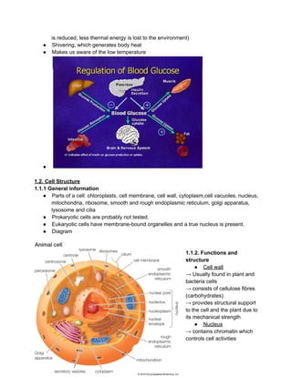 Bio Notes (Homeostasis, Biomolecules) | PDF