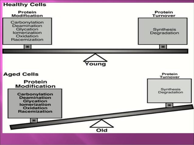 Biology of ageing | PPT