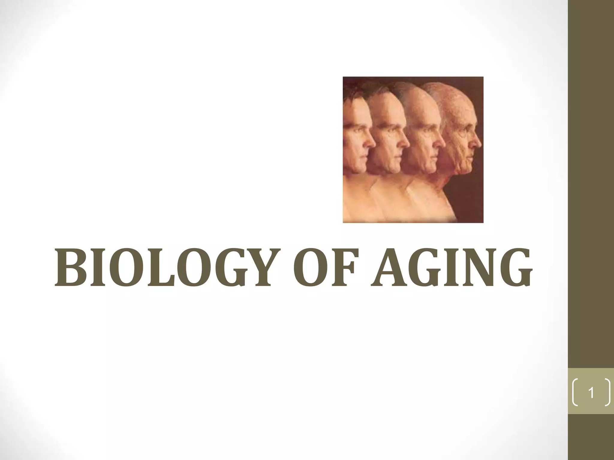 Biology of Aging | PPT